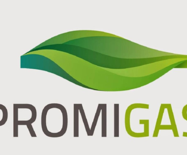 20 de mayo de 2021 - Guía del Gas