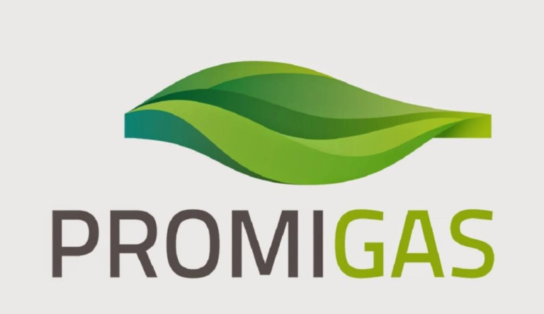 Promigas, empresa Colcap con más mujeres en juntas directivas - Guia ...